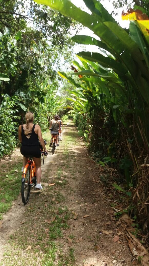 Zoek jij een rondreis met highlights van Suriname? | Around The World ...